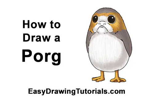 How to Draw a Porg from Star Wars The Last Jedi