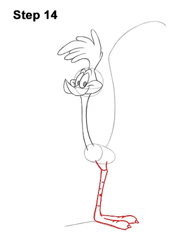 How to Draw The Road Runner (Looney Tunes) Step-by-Step Pictures