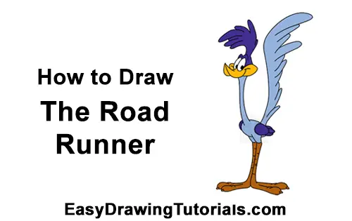 How to Draw The Road Runner (Looney Tunes) Step-by-Step Pictures